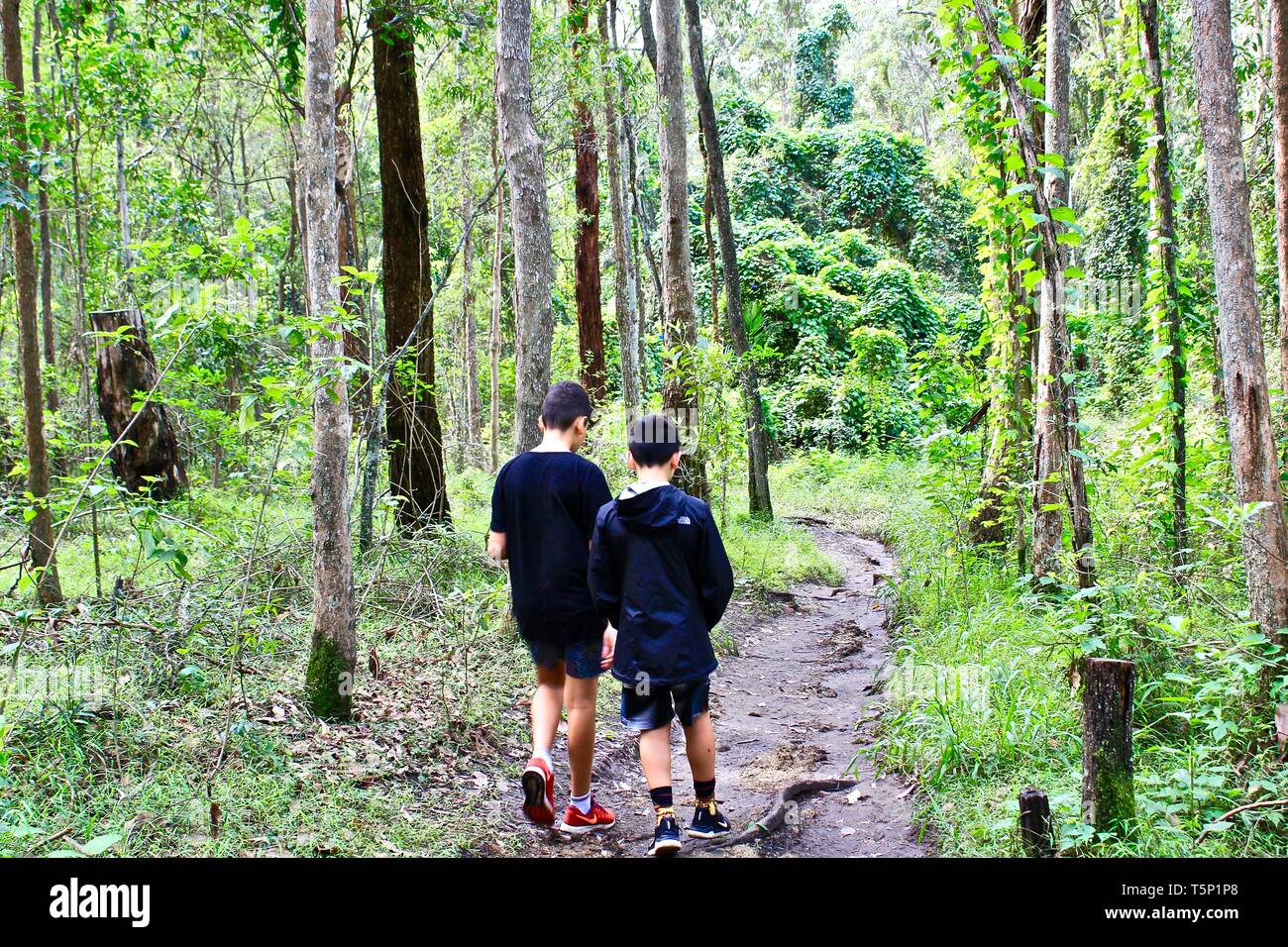 two boys walking through through the forest on a path through tall ...