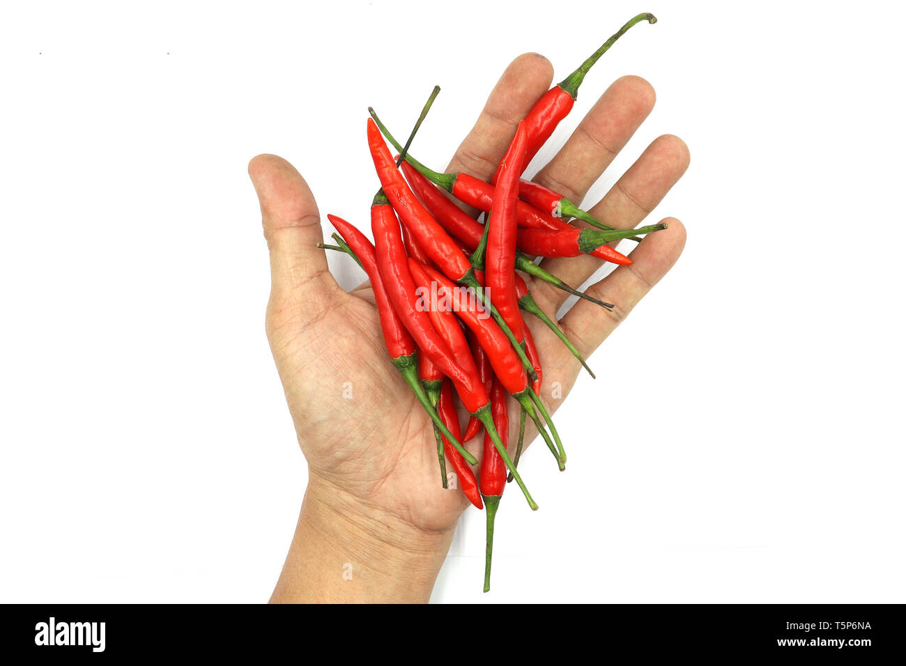 Male female hands plant Cut Out Stock Images & Pictures - Alamy
