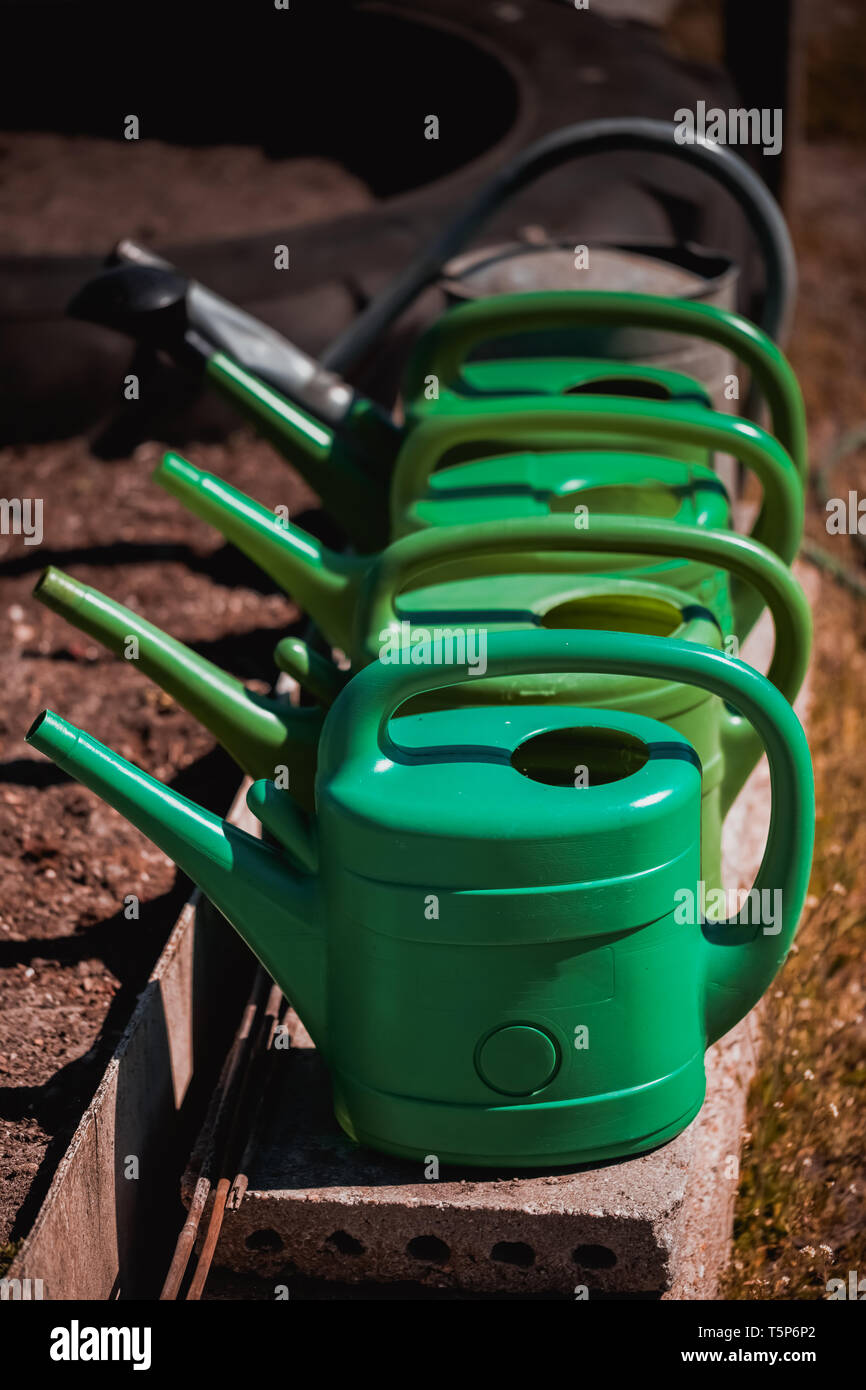 different colorful watering cans in a row in the garden, agriculture ...
