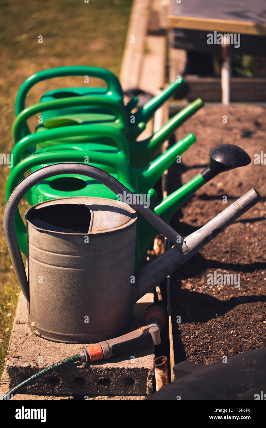 different colorful watering cans in a row in the garden, agriculture ...