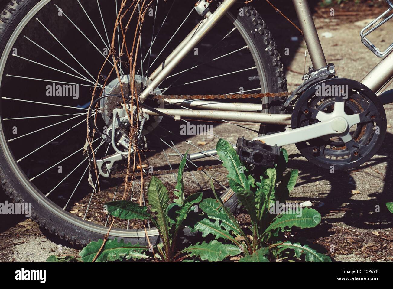 bicycle transportation on the street in the city Stock Photo - Alamy