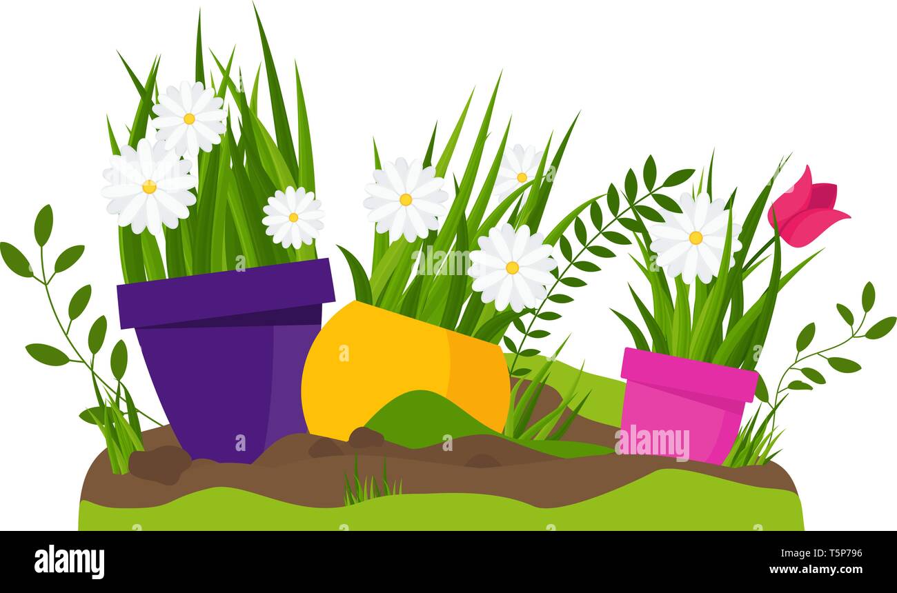 Flower bed in the front garden Stock Vector Image & Art - Alamy