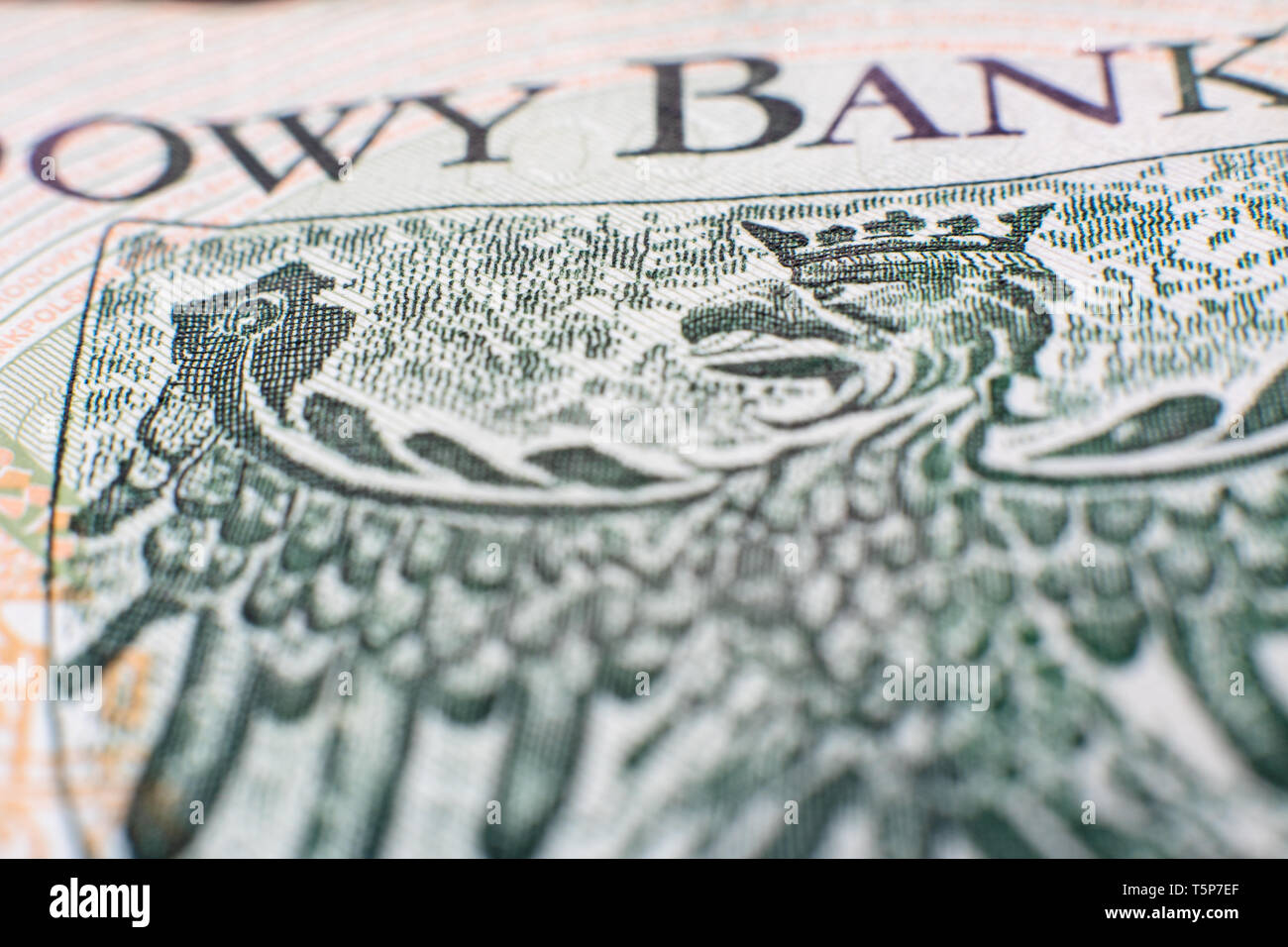 Polish Zloty banknotes (PLN) - Closeup on 100 PLN banknote. Macro shot ...