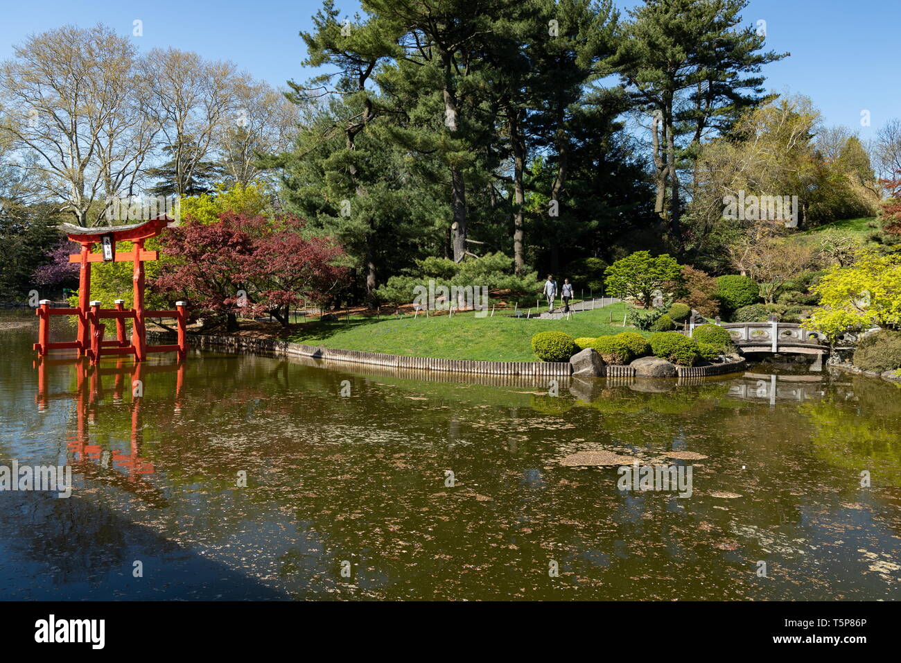 Torii gate at the Japanese Hill-and-Pond Garden in Brooklyn Botanic ...