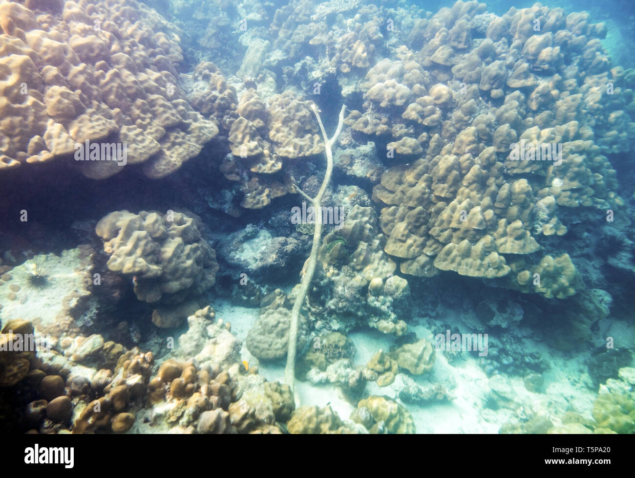 Timber in marine environment hi-res stock photography and images - Alamy