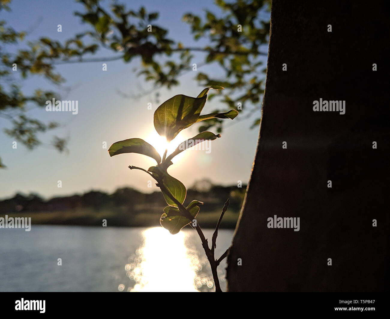 Giving ads hi-res stock photography and images - Alamy