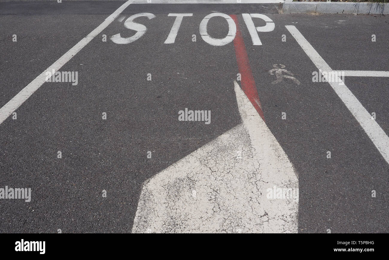 Regulatory signs, stop traffic sign painted on road Stock Photo - Alamy