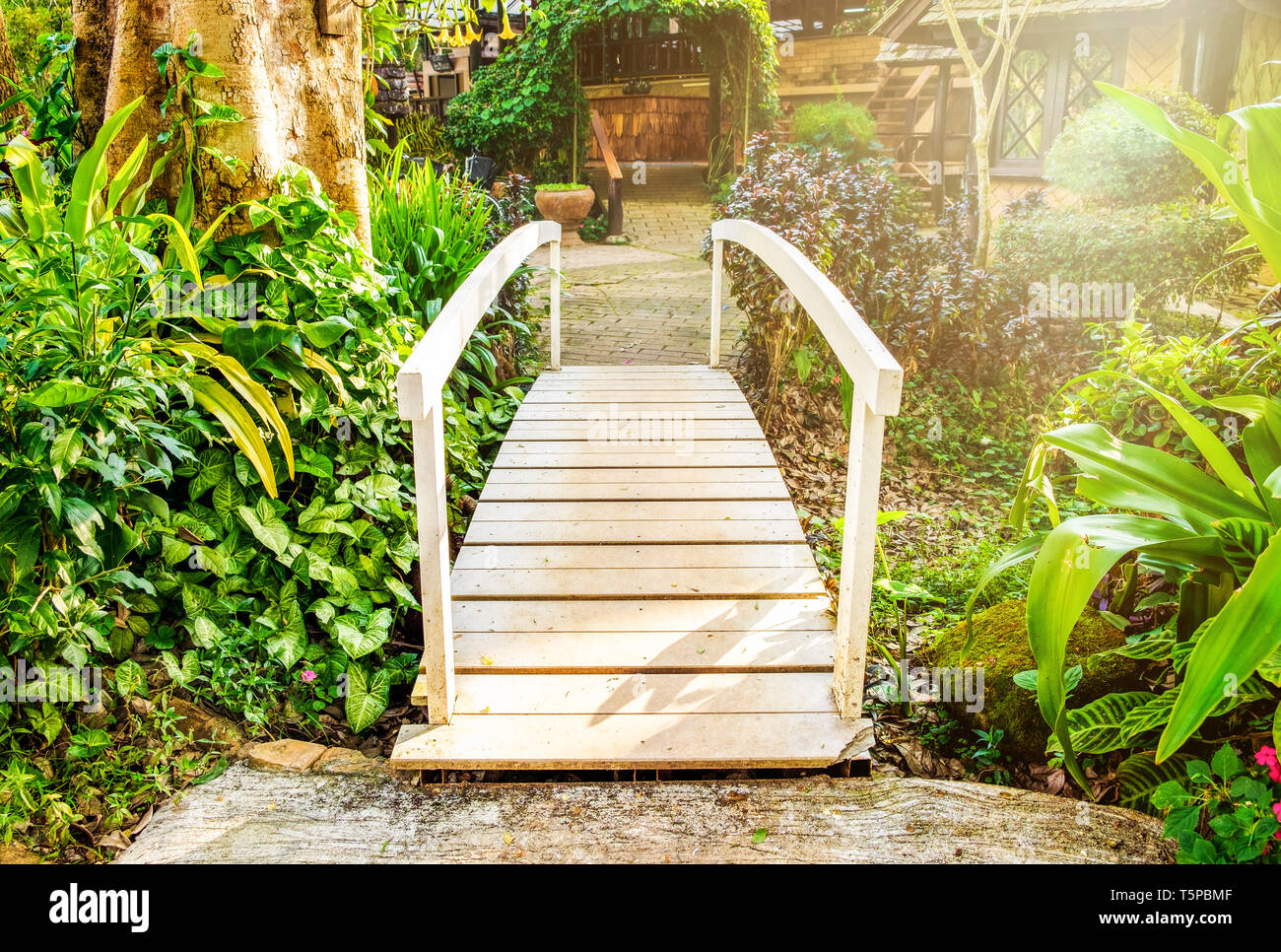 White bridge across walkway sylvan in garden Stock Photo - Alamy