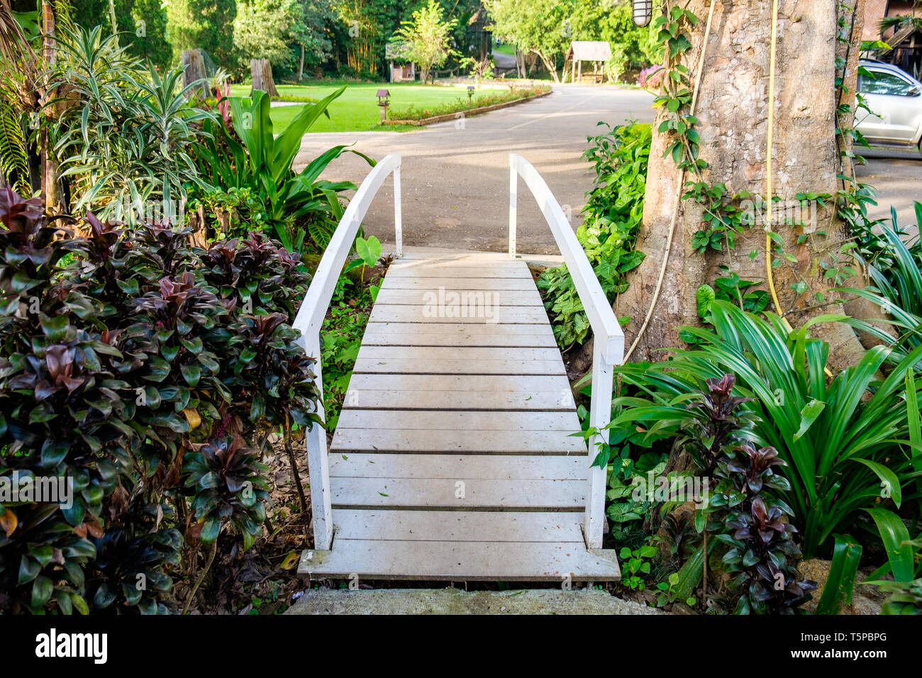 White bridge across walkway sylvan in garden Stock Photo - Alamy