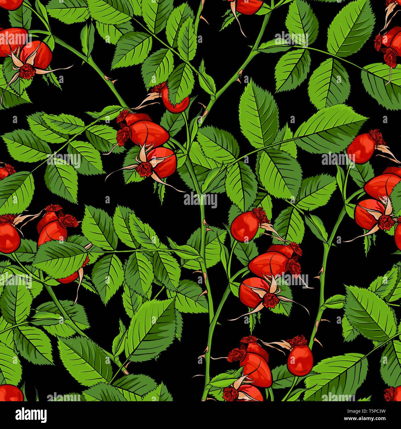 Dogrose Seamless Pattern, Luxury Wild Briar Rose. Rosehip Romance ...