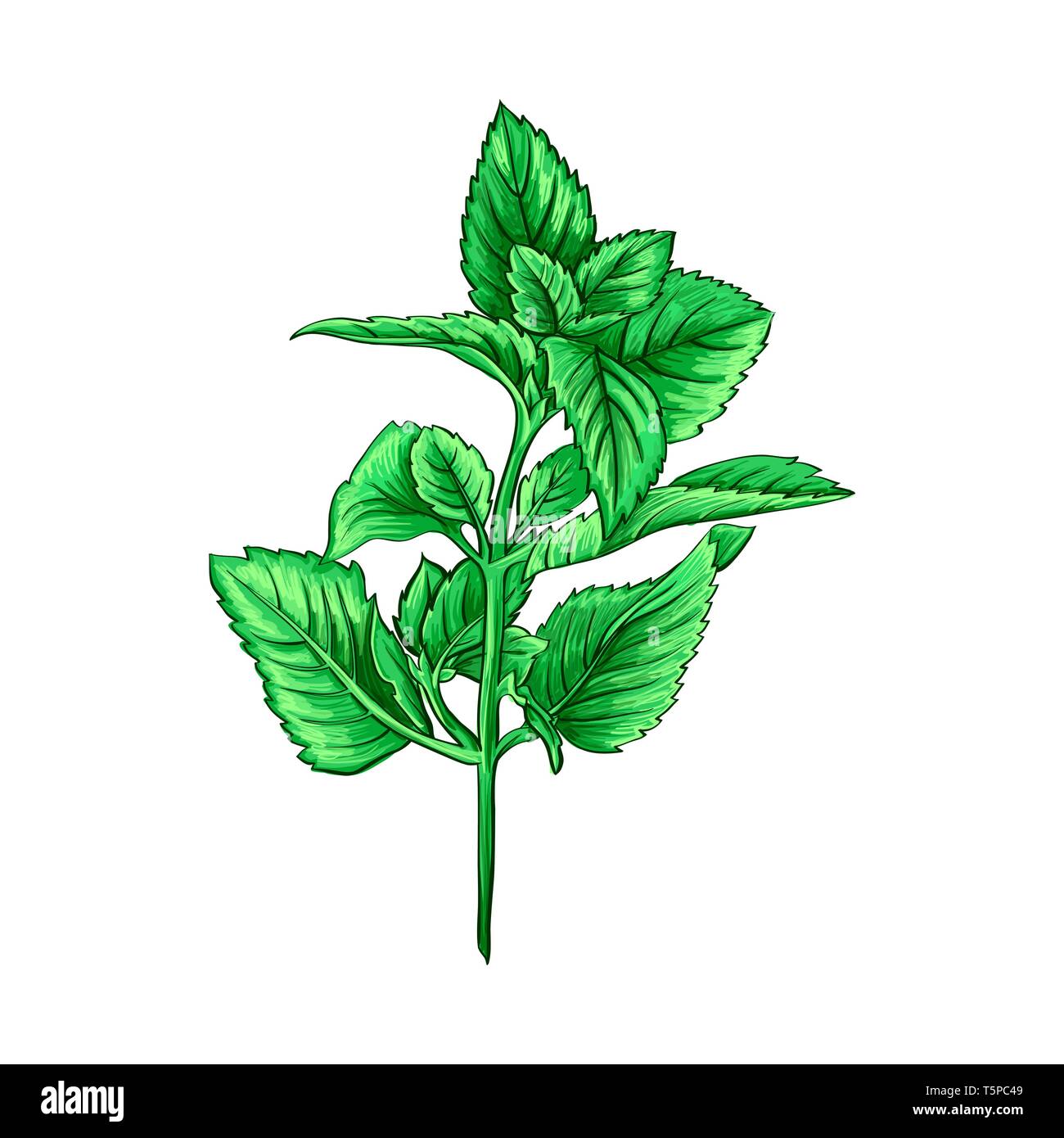 Tea splash Stock Vector Images - Alamy