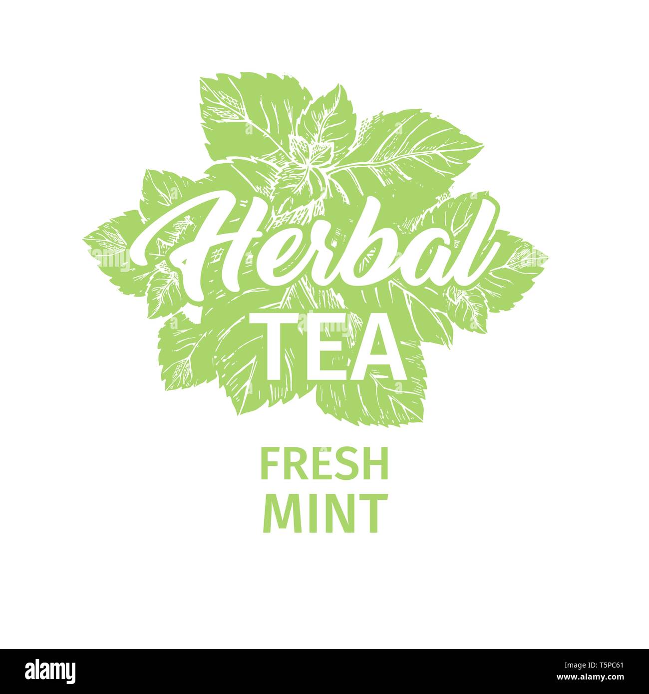 Herbal Tea with Fresh Mint Logo Template. Isolated Hand Drawn Green ...