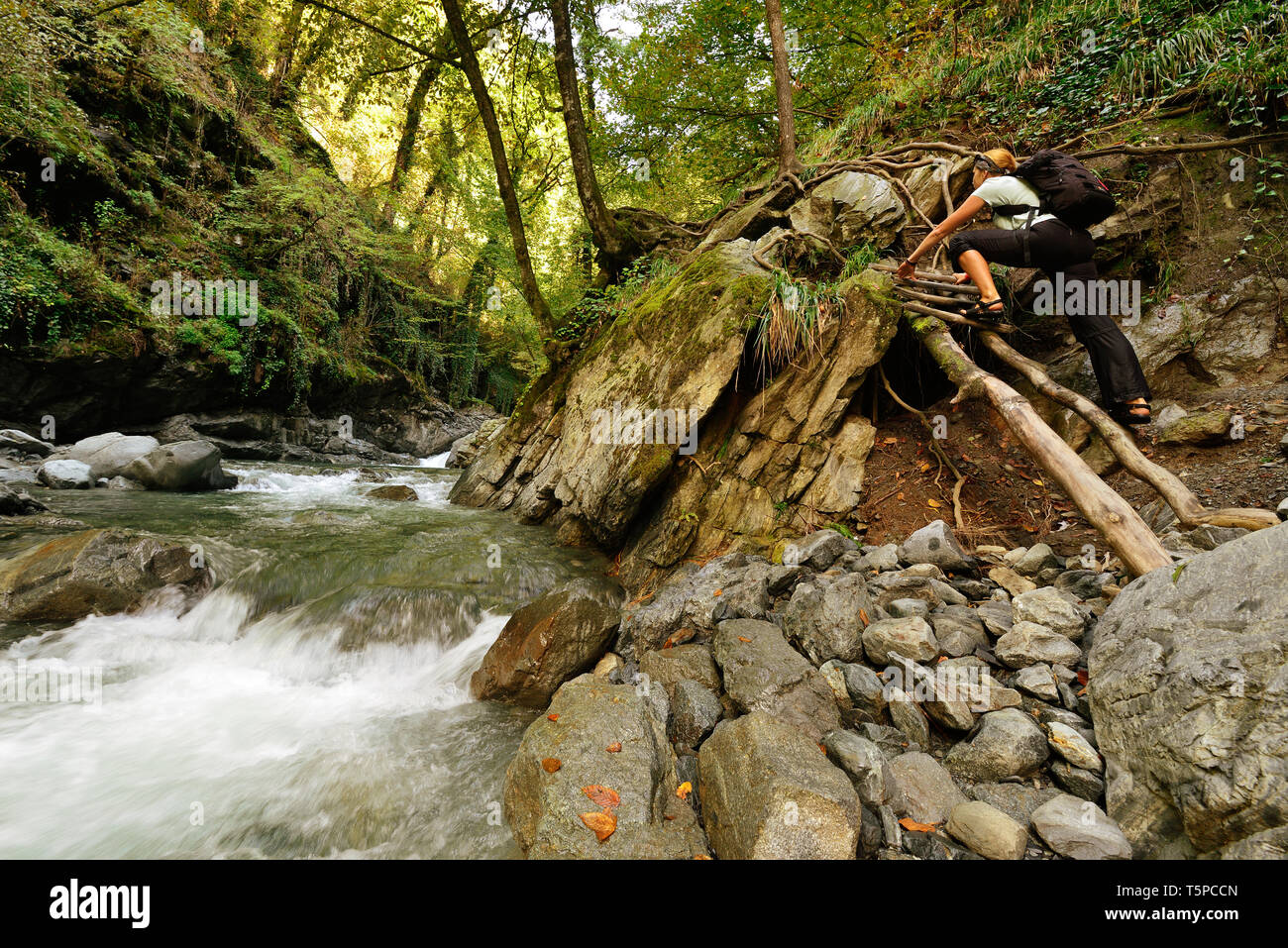 Tourist on the trekking to the Gurgeniani waterfall in Lagodekhi Nature ...