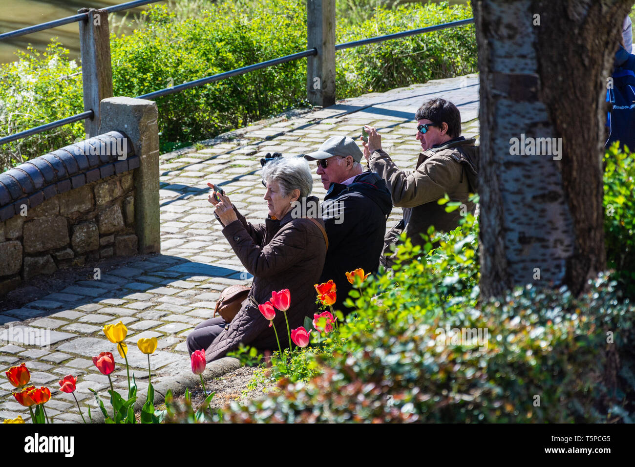 Three tourists sitting on a bench (by the River Severn) take photos of ...
