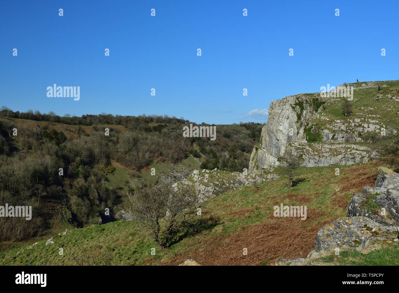 View of Cheddar gorge in Somerset Stock Photo - Alamy