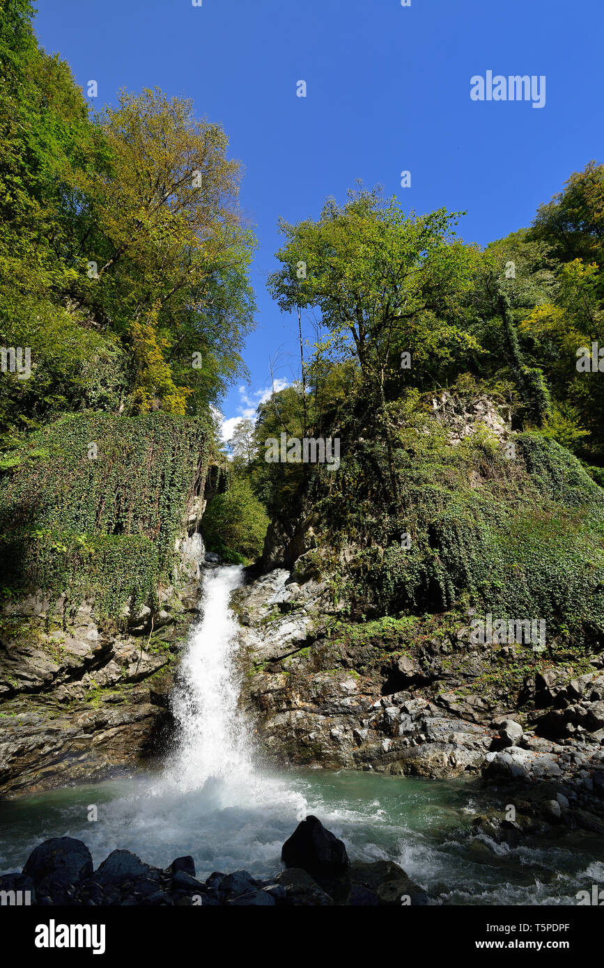 Lagodekhi Nature Reserve
