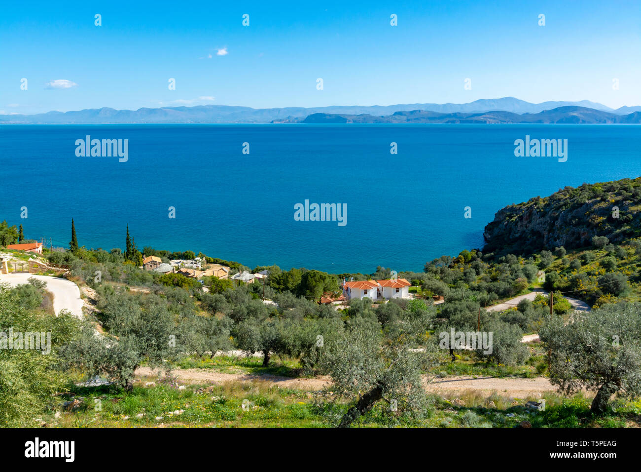 Landscape with small greek islands bays and trees on Peloponnese ...