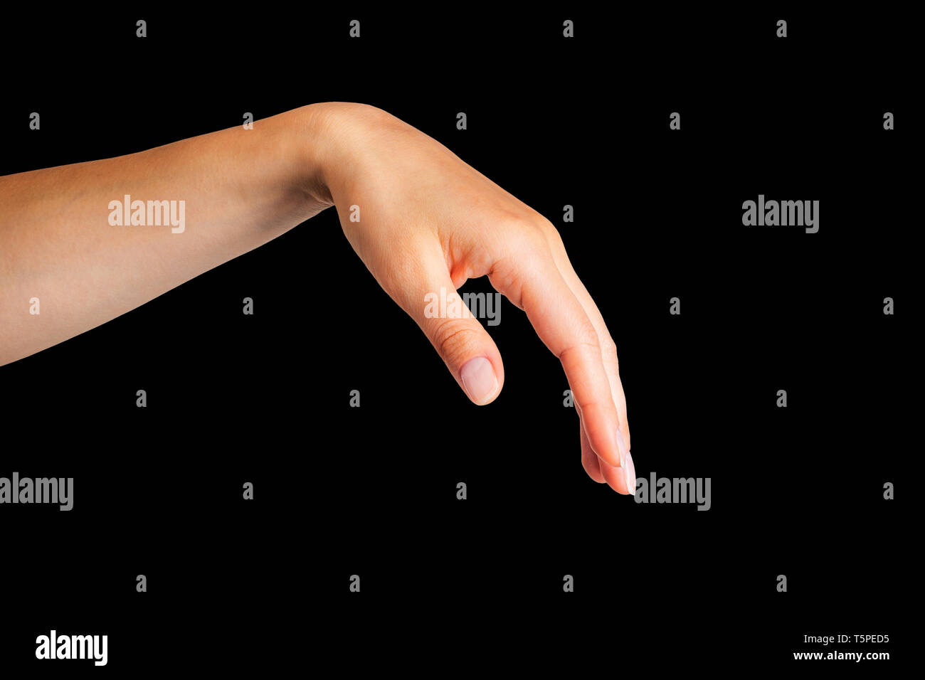 Woman showing open hand or holding something on black background ...