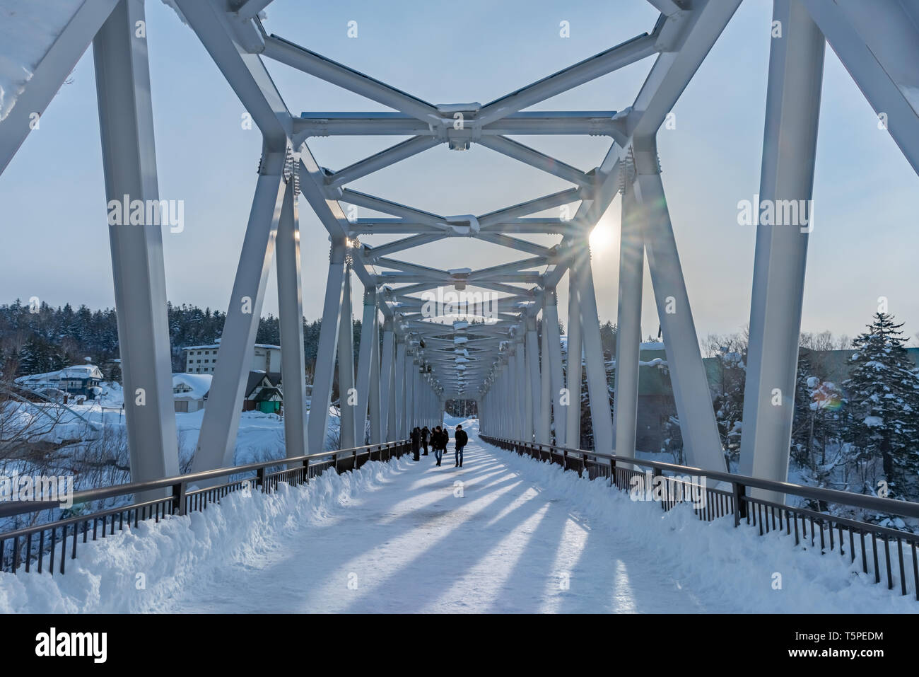Beautiful outdoor nature landscape with shirahige waterfall and bridge ...