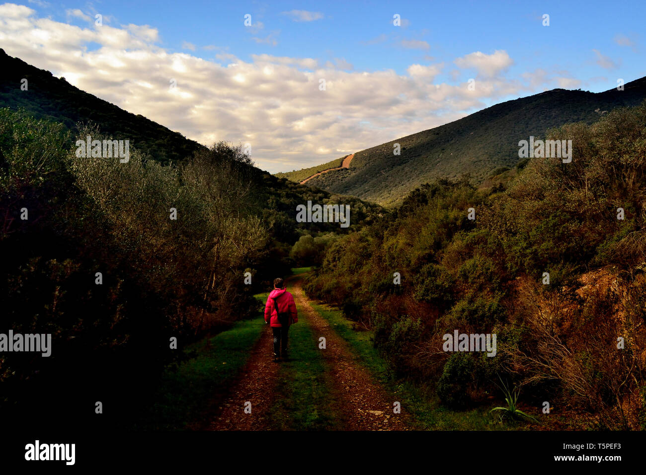 Isca hi-res stock photography and images - Alamy