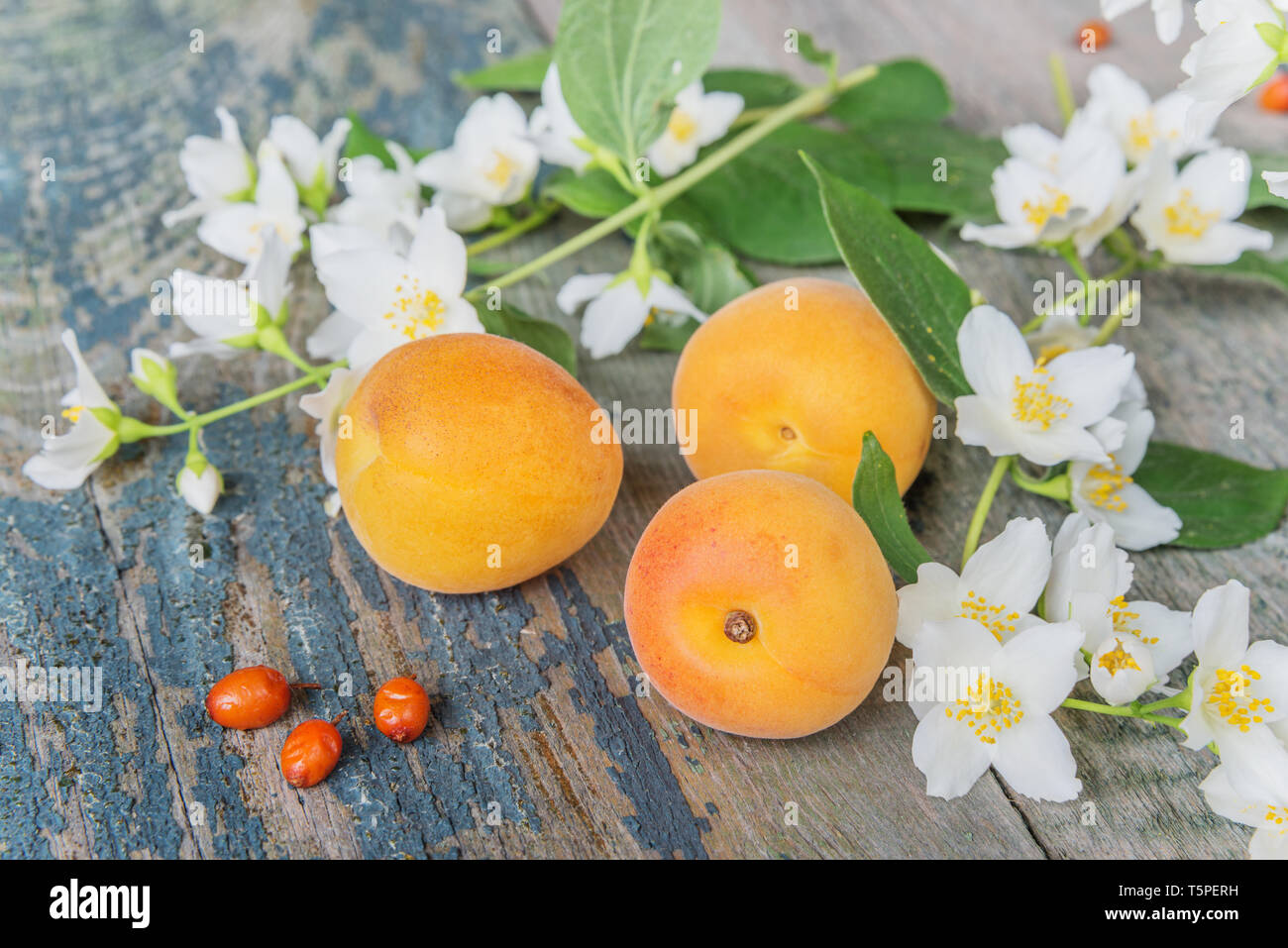 Jasmine fruit hi-res stock photography and images - Alamy