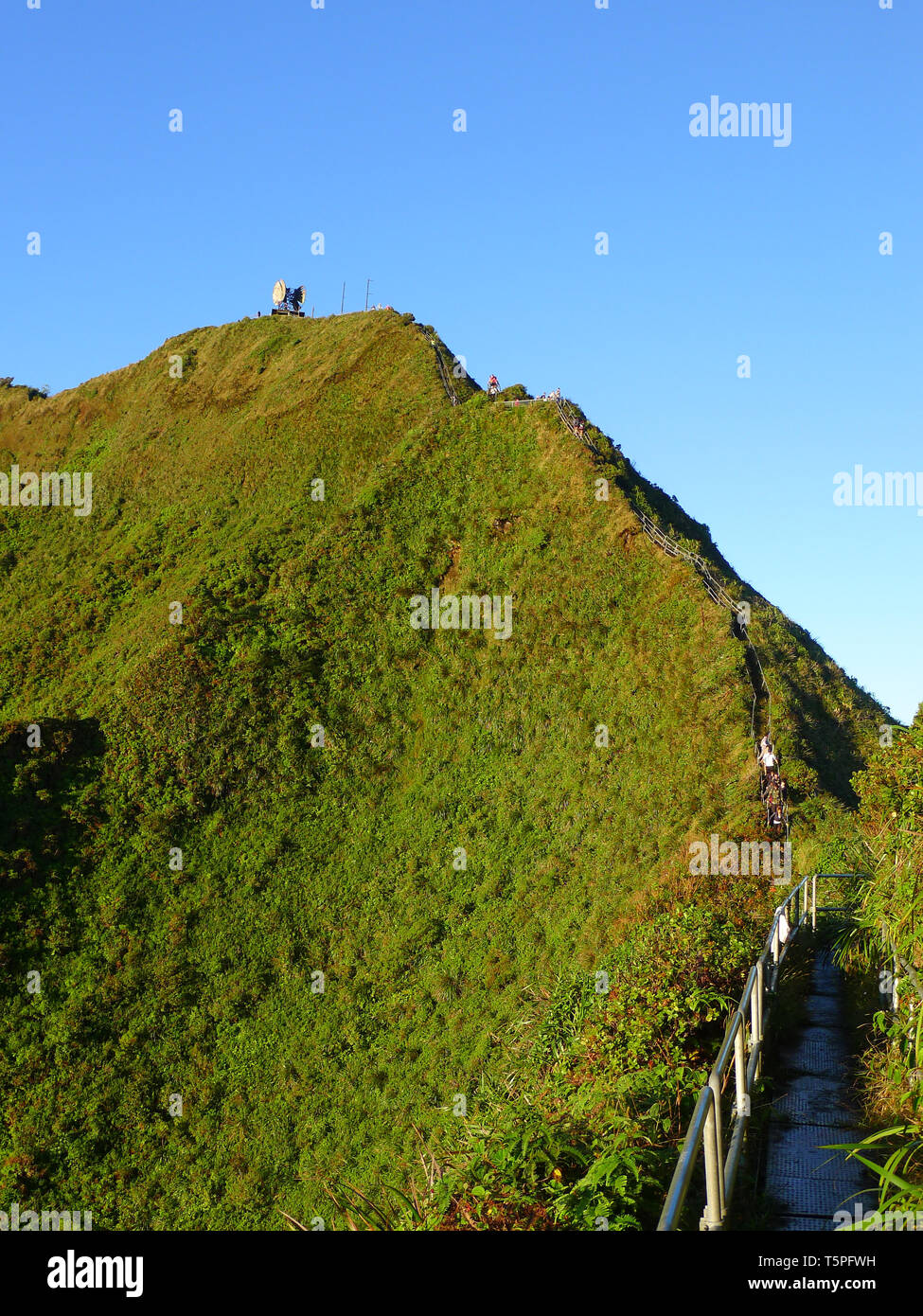 Famous Haiku stairs, stairway to heaven in the morning Stock Photo - Alamy