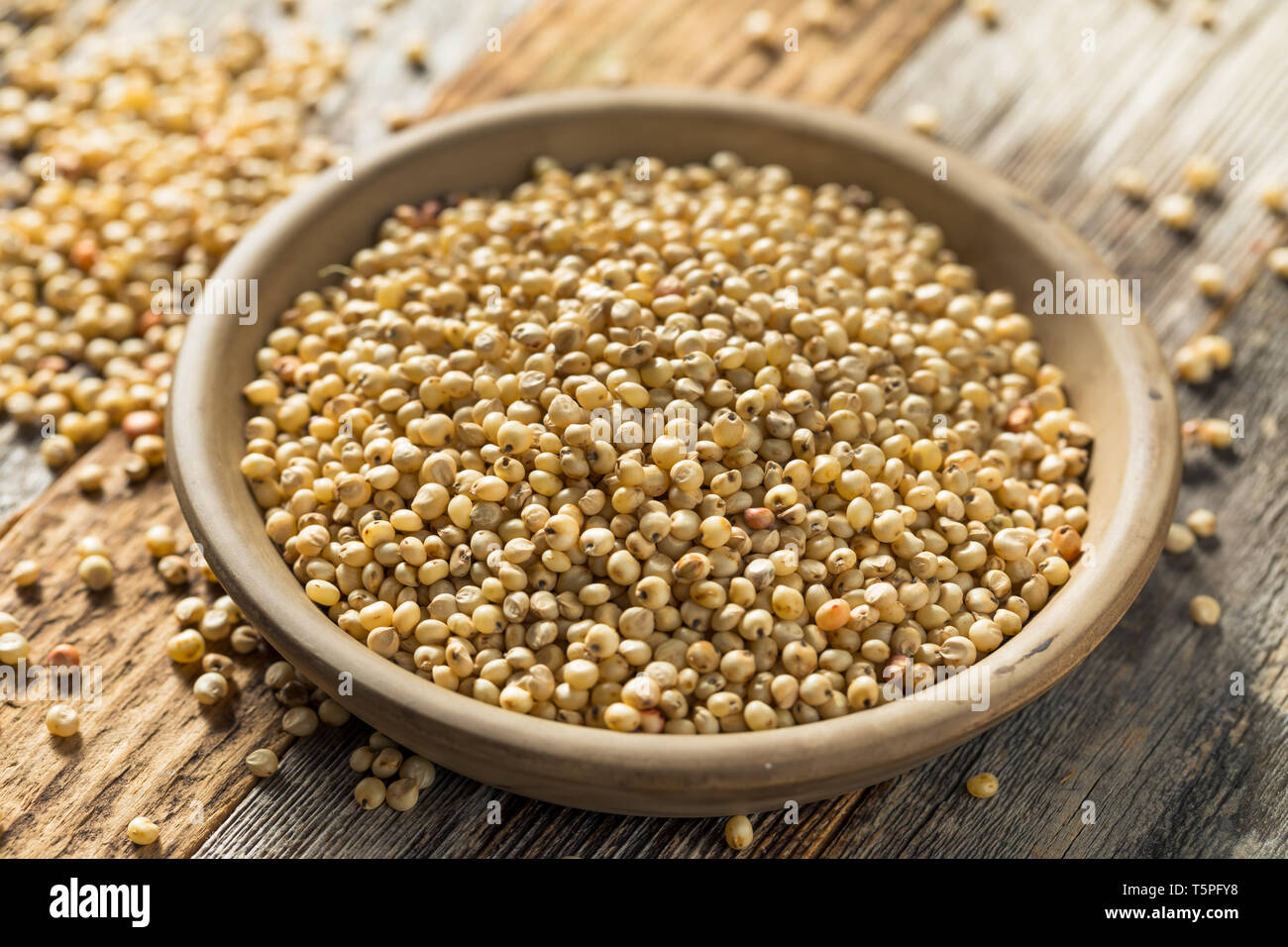 Sorghum harvest chinese hi-res stock photography and images - Alamy