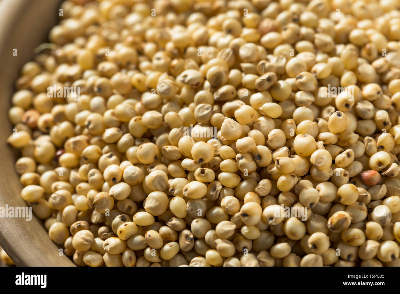 Raw Organic Sorghum Grain in a Bowl Stock Photo - Alamy