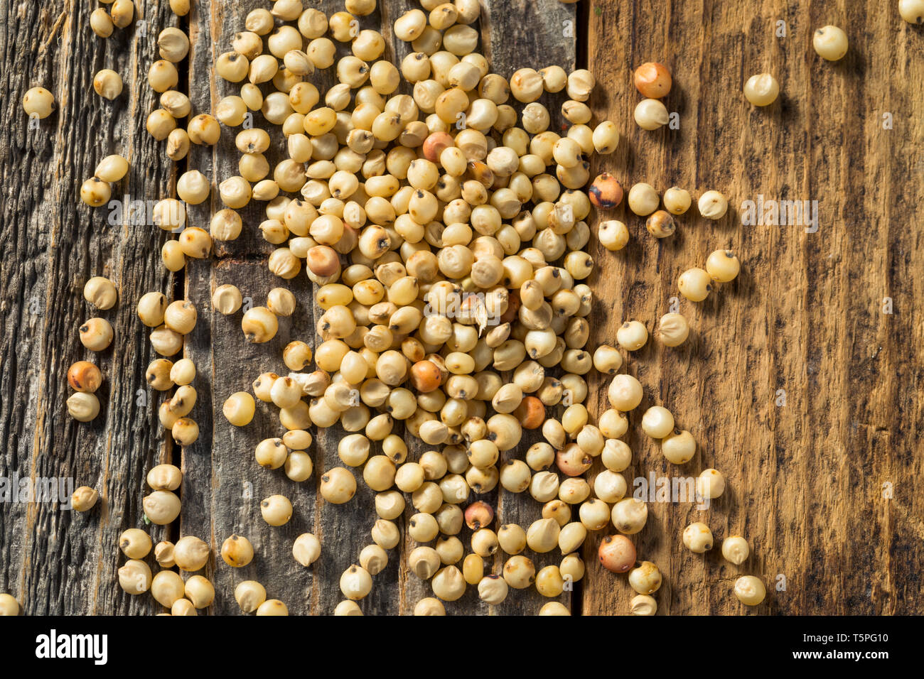 Raw Organic Sorghum Grain in a Bowl Stock Photo - Alamy