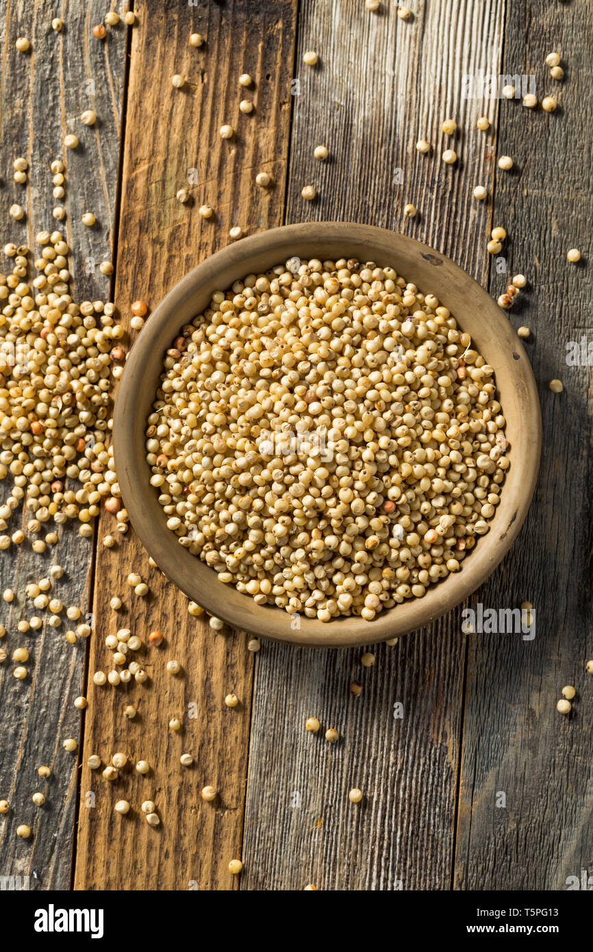 Raw Organic Sorghum Grain in a Bowl Stock Photo - Alamy