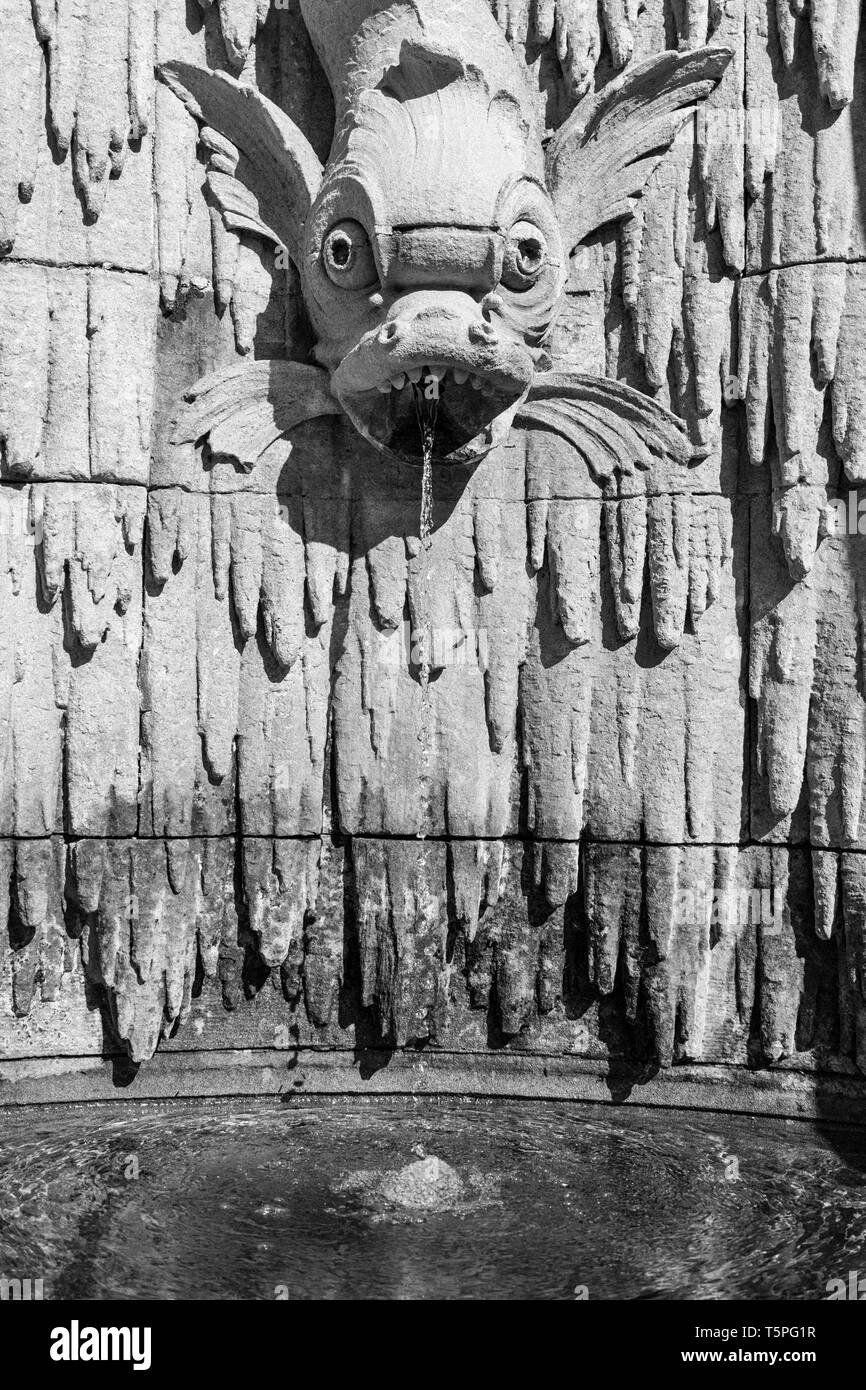 Dragon Head Fish High Resolution Stock Photography and Images - Alamy