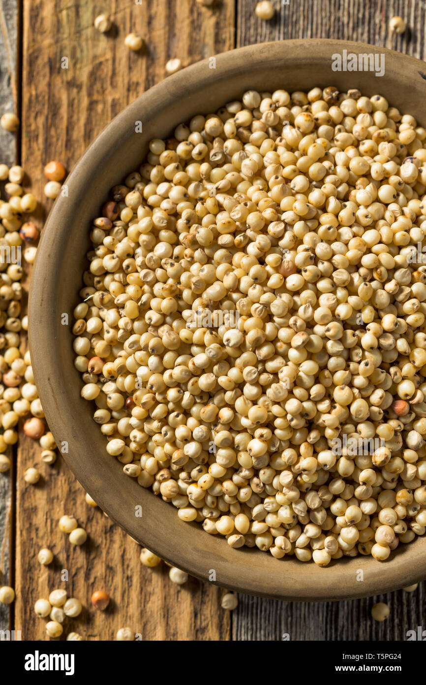 Sorghum harvest chinese hi-res stock photography and images - Alamy