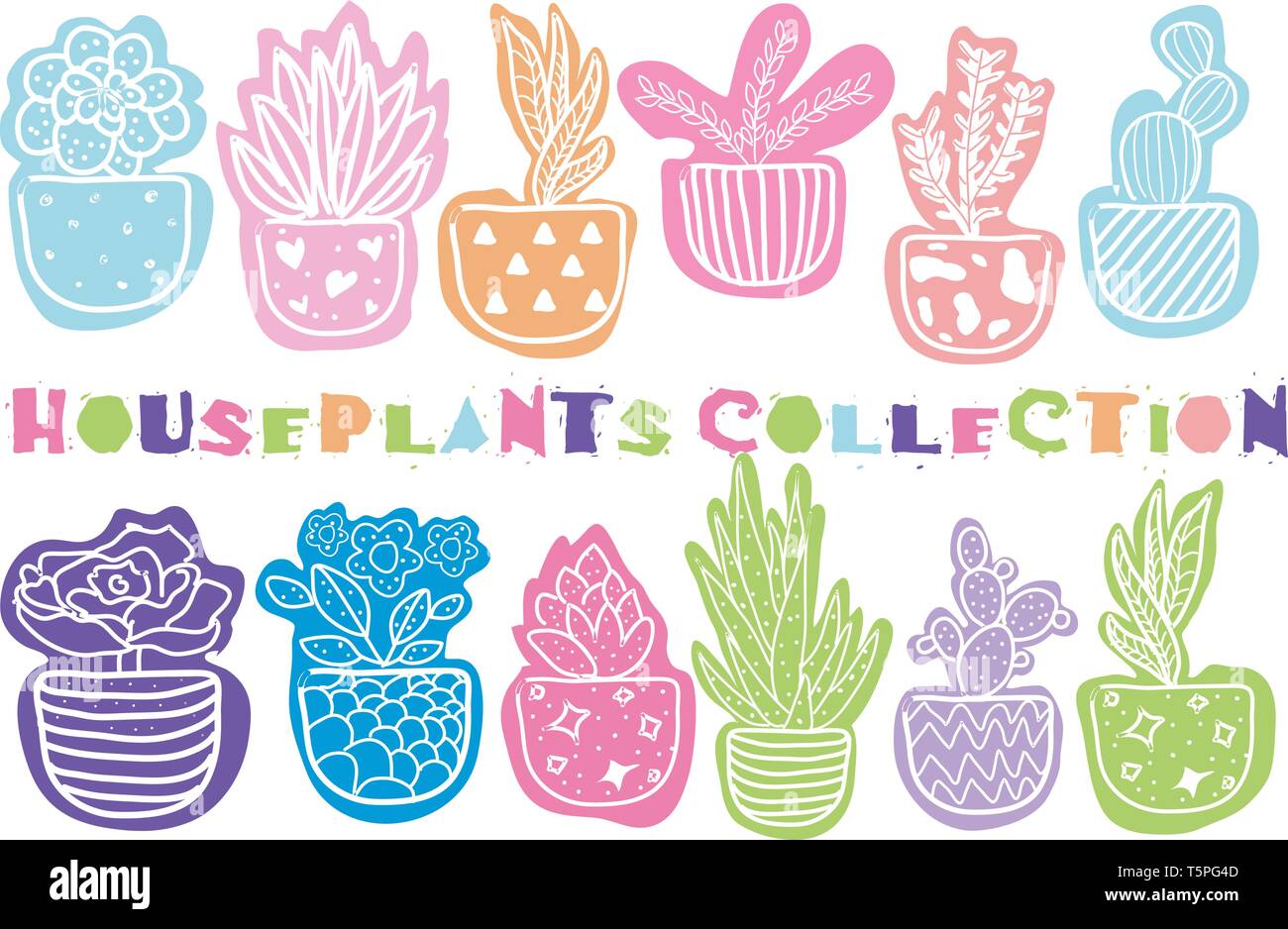 Collection of houseplants monstera hi-res stock photography and images ...