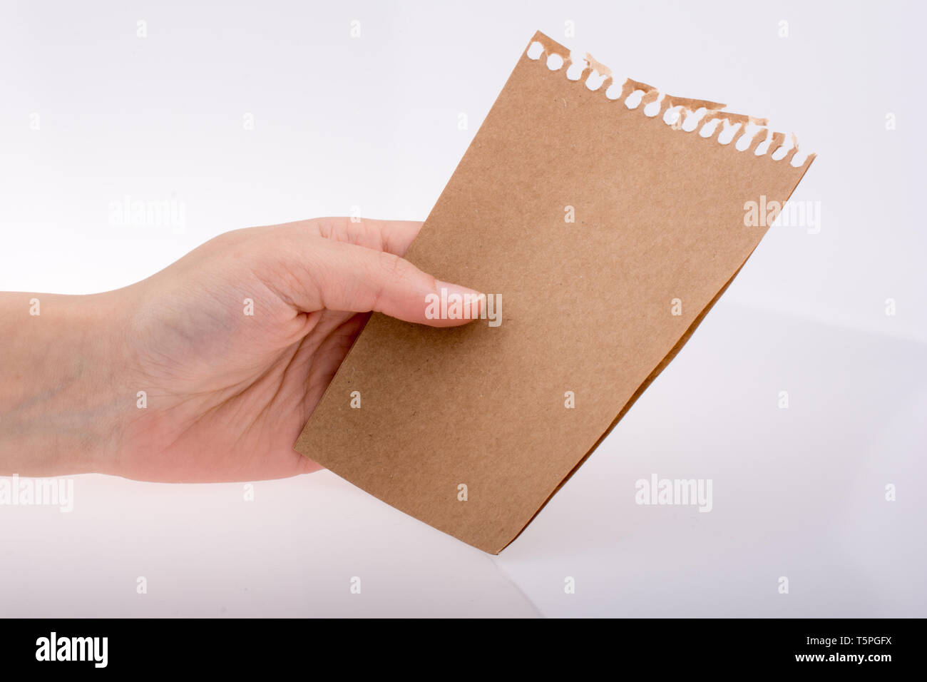Hand holding a sheet of paper on a white background Stock Photo - Alamy