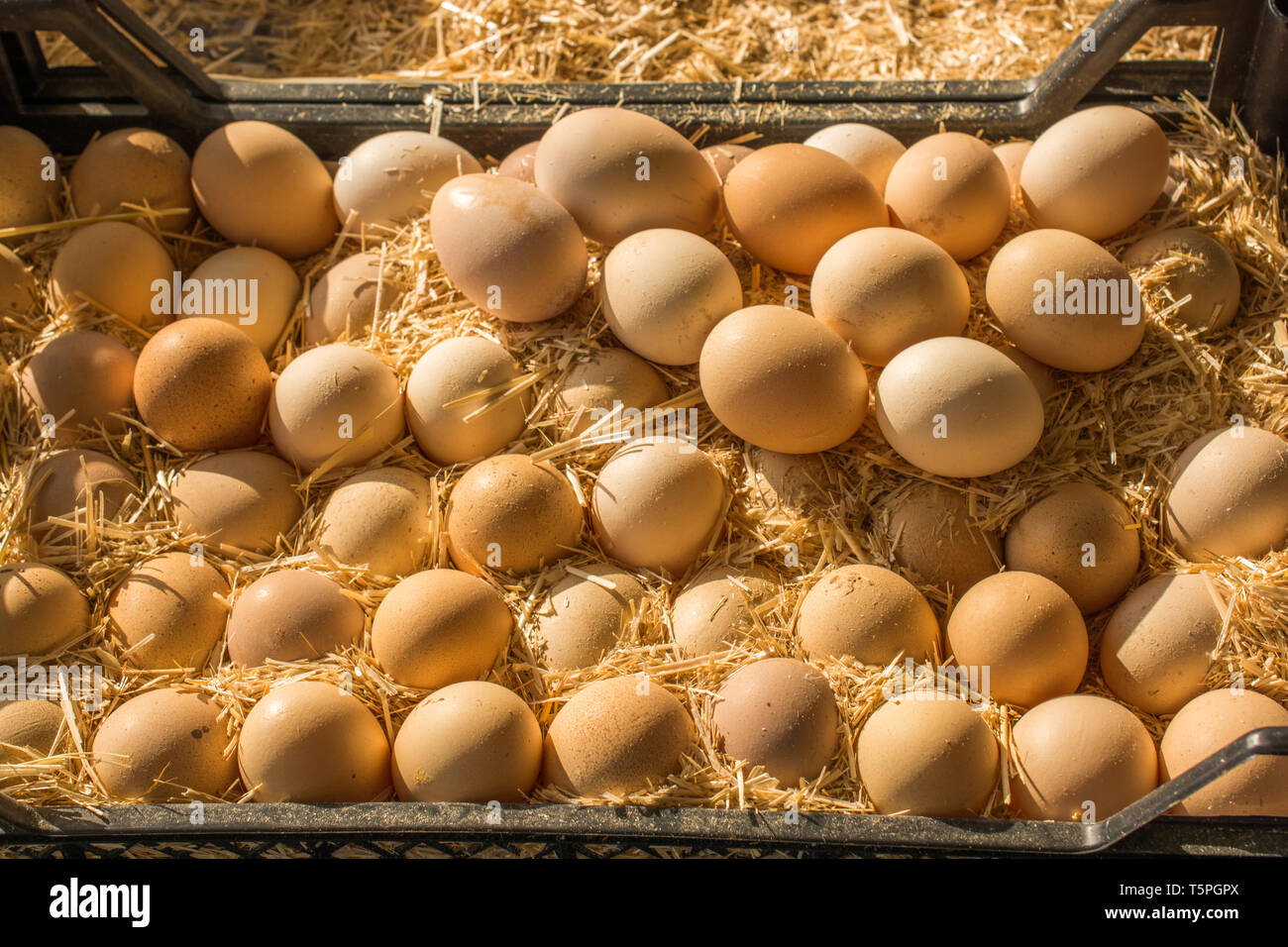 Organic fresh farm eggs at the market place Stock Photo - Alamy