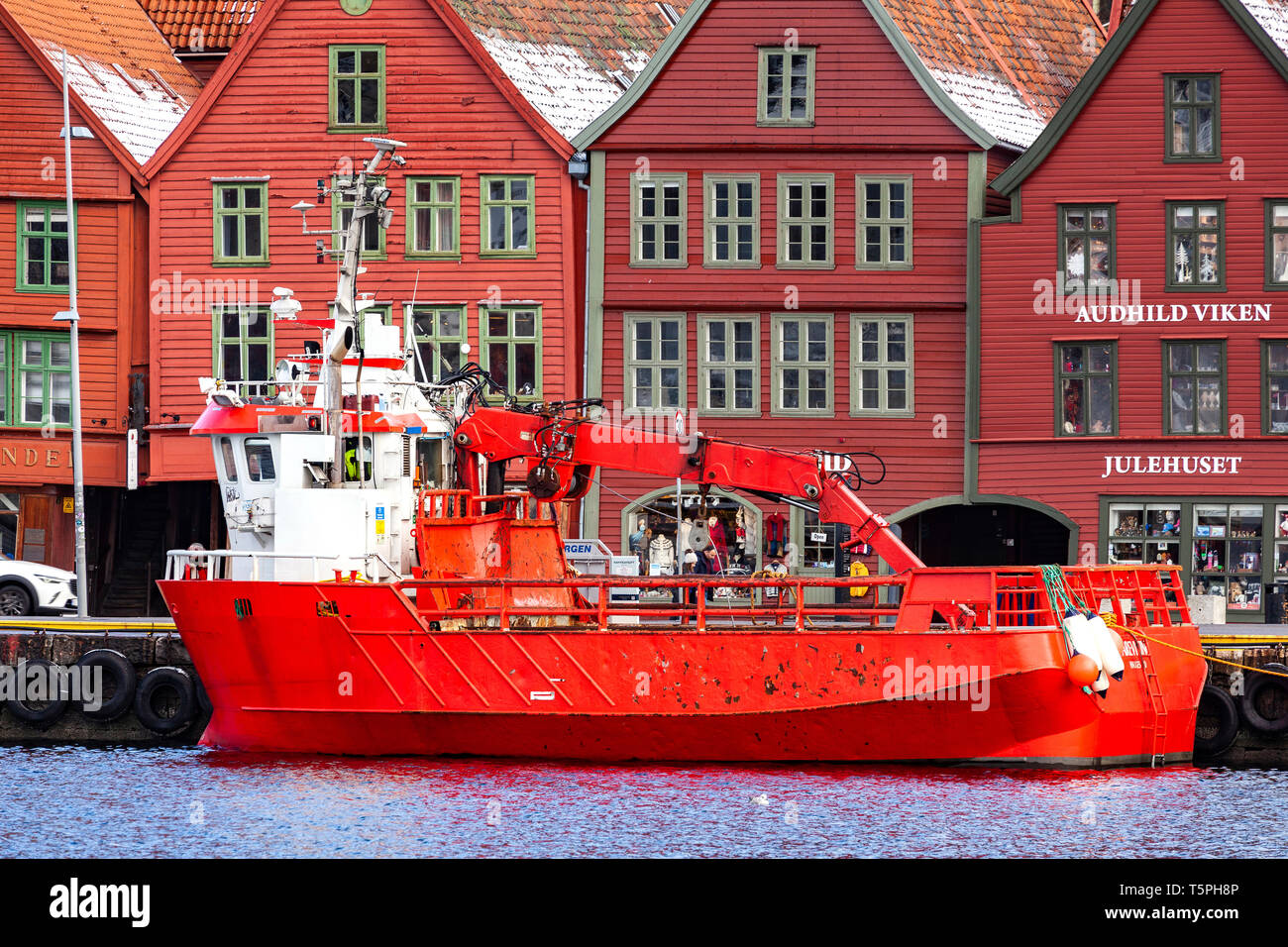 Tareviking hi-res stock photography and images - Alamy