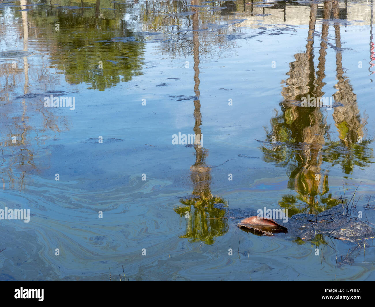 Tropical body of water with reflection of palm trees polluted with oil ...