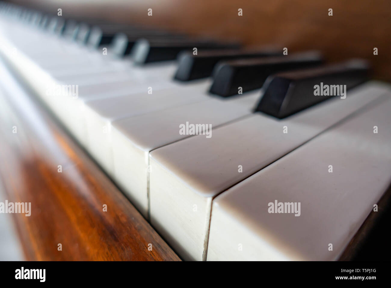 Close up of Ivory Piano Keys Stock Photo - Alamy