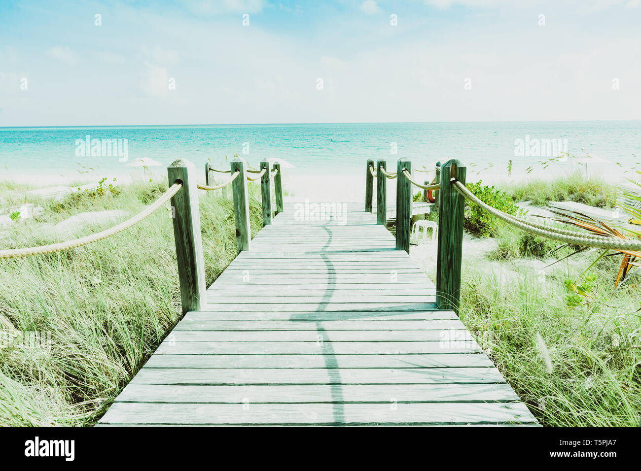 Wooden plank walkway leading to Caribbean beach Stock Photo - Alamy