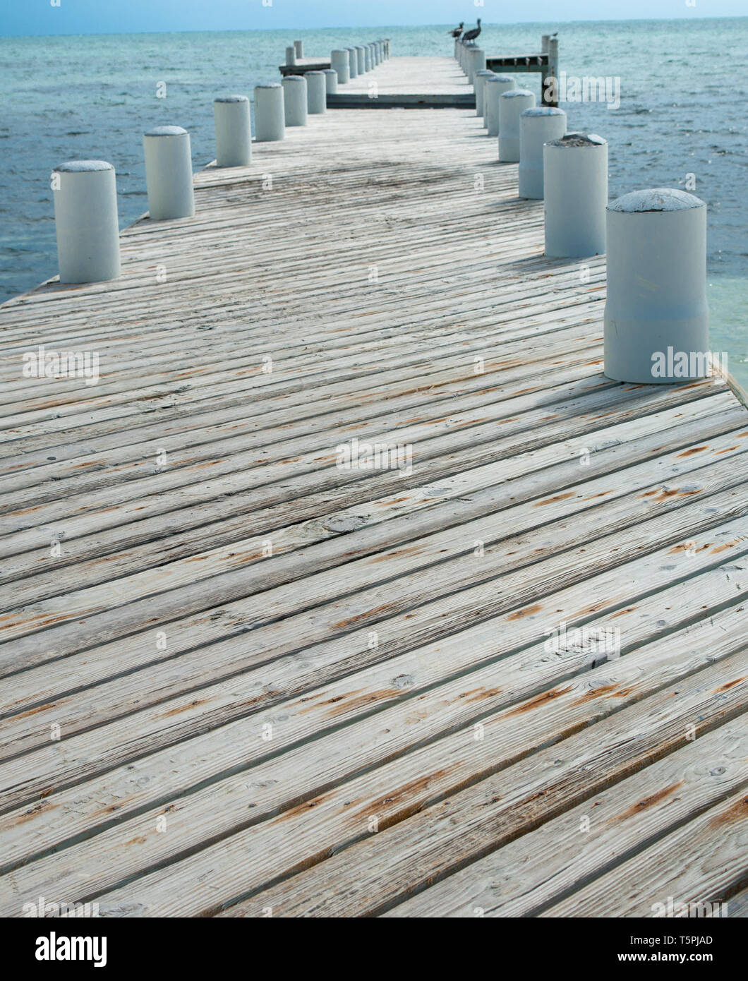 Long pier constructed diagonal planks projecting out into Caribbean ...