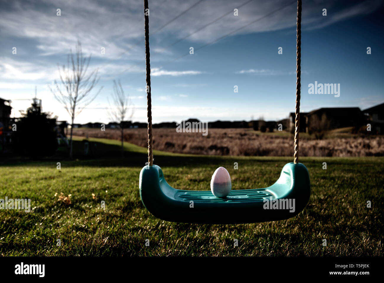 Easter Egg on swing with sky and grass background Stock Photo - Alamy