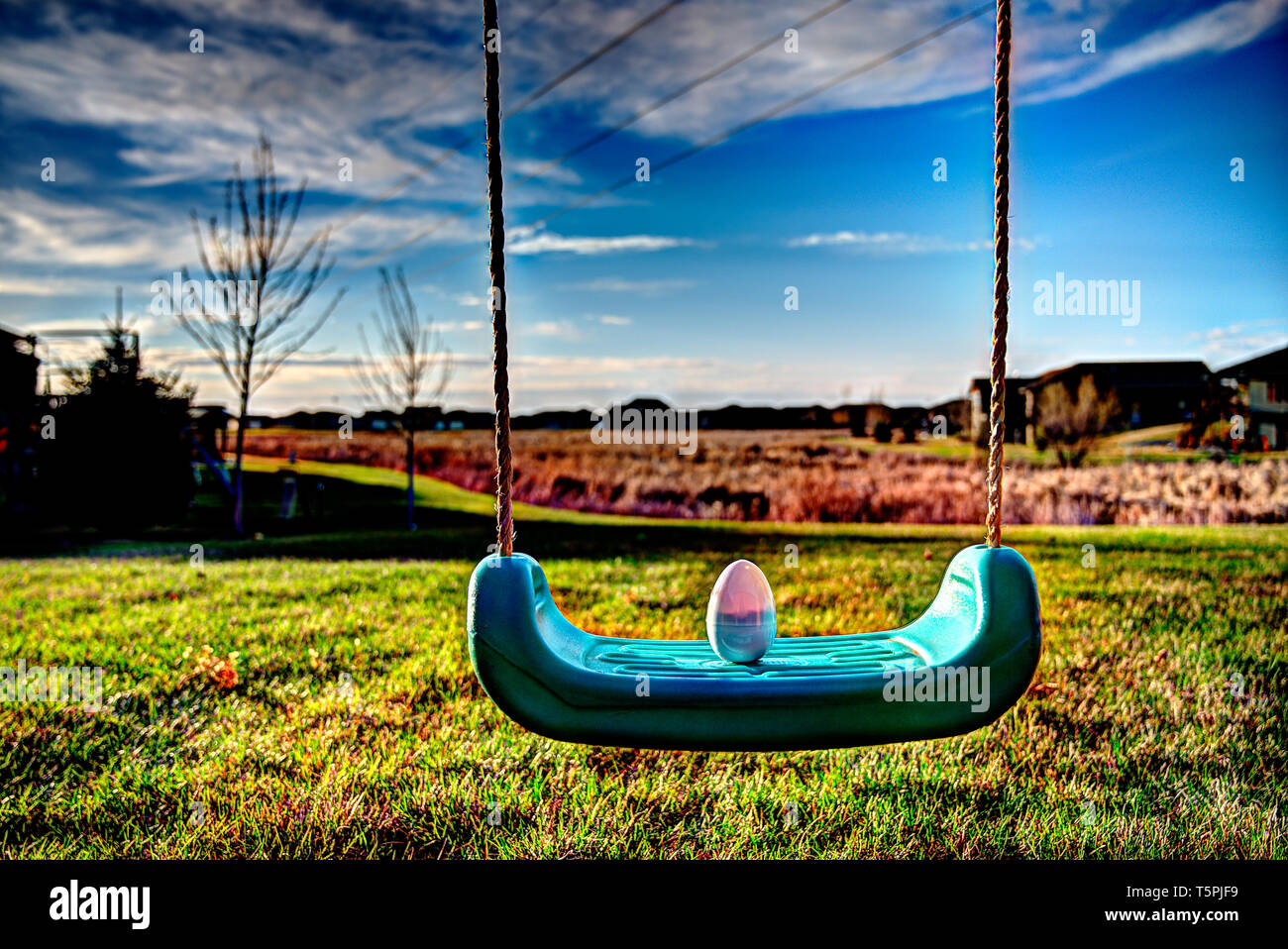 Easter Egg on swing with sky and grass background Stock Photo - Alamy