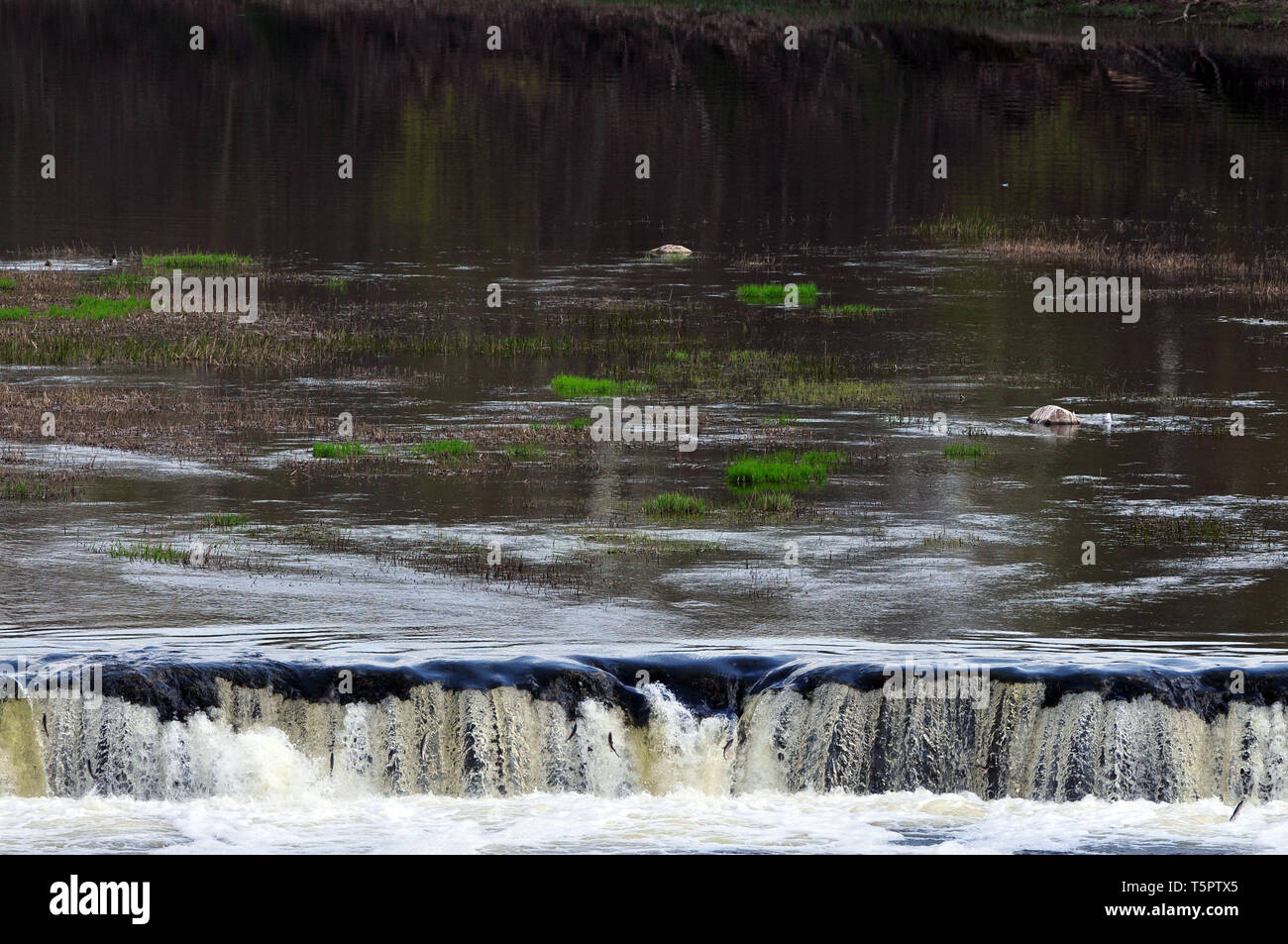Venta rapid waterfall hi-res stock photography and images - Alamy