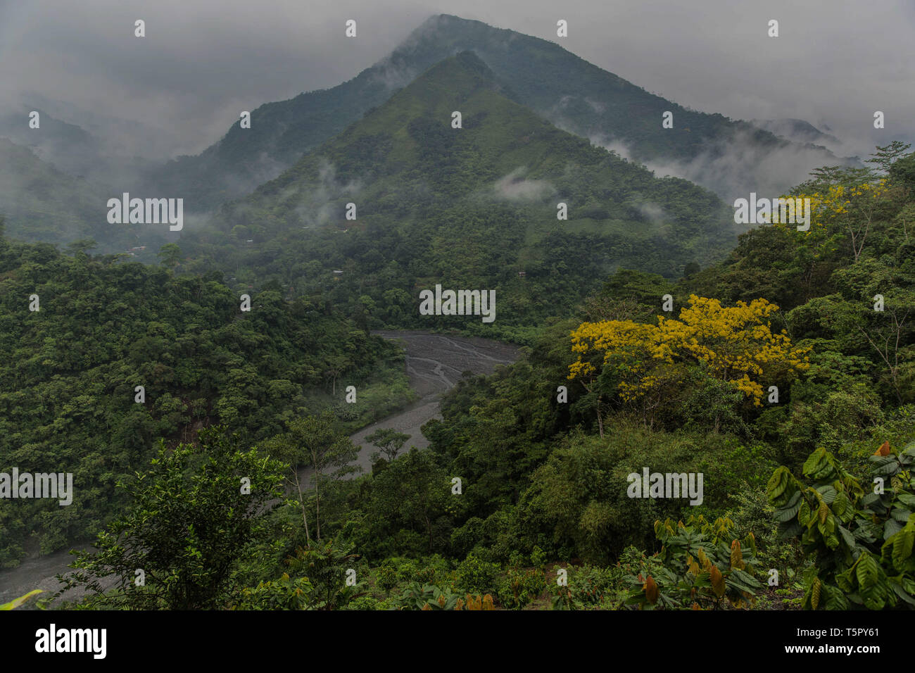 Muzo, Boyaca, Colombia. 15th Mar, 2019. On the way to the mine. Once a ...