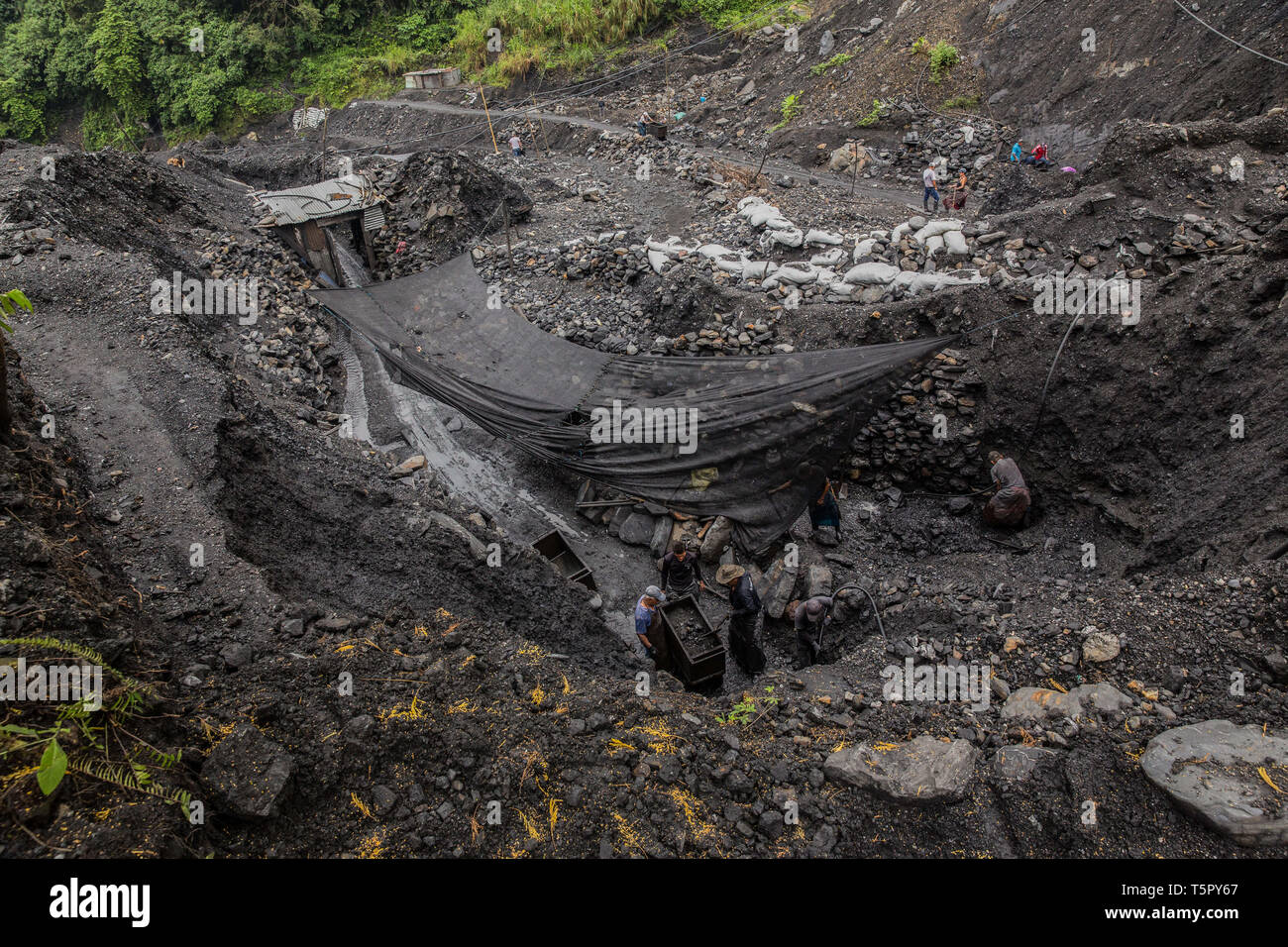 20190315 hi-res stock photography and images - Alamy