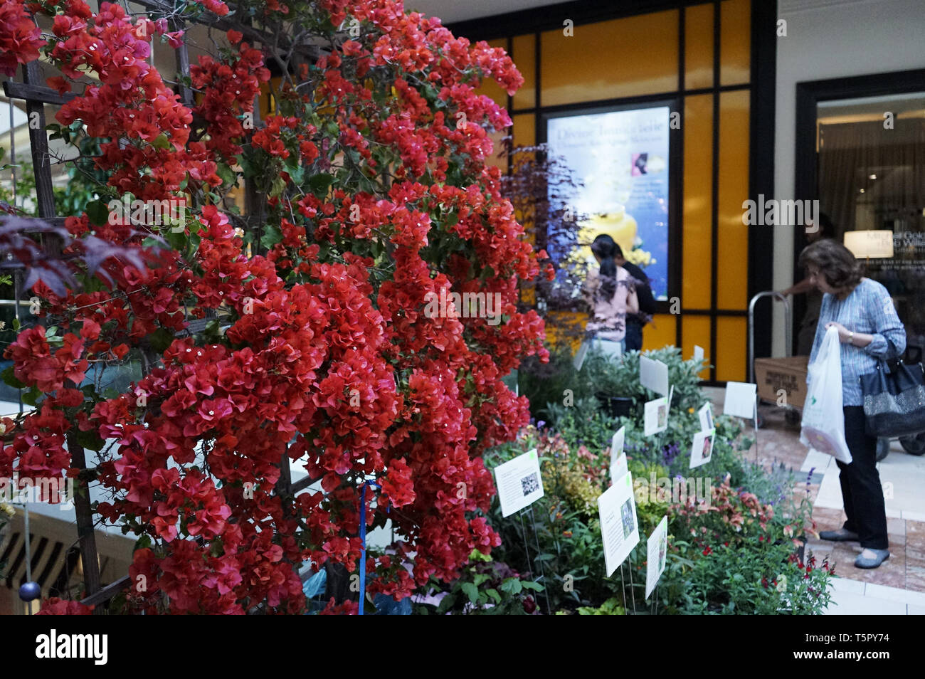 Visit the usa show garden hi-res stock photography and images - Alamy