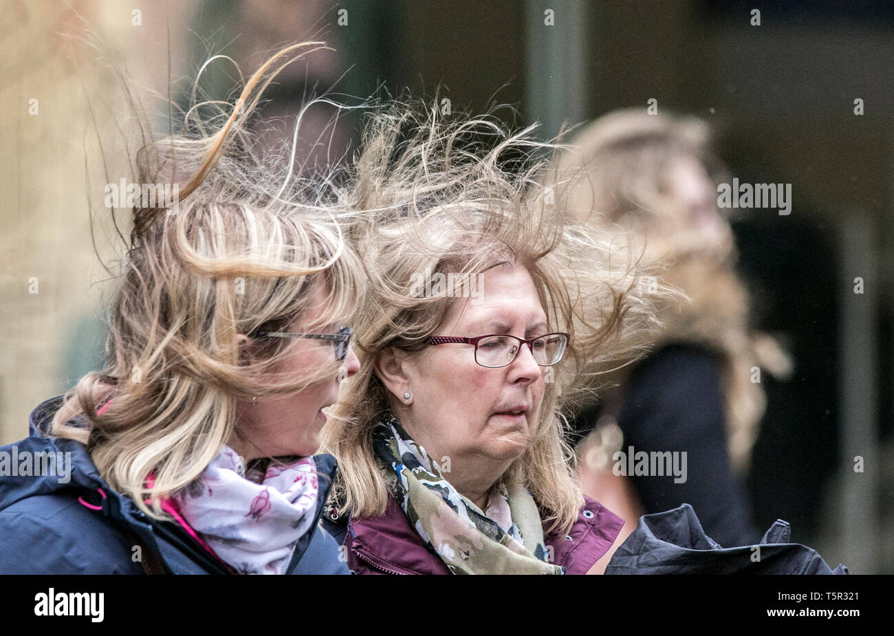 wind,hair,windswept,bad hair day,wind blown hair,long hair,female,face ...