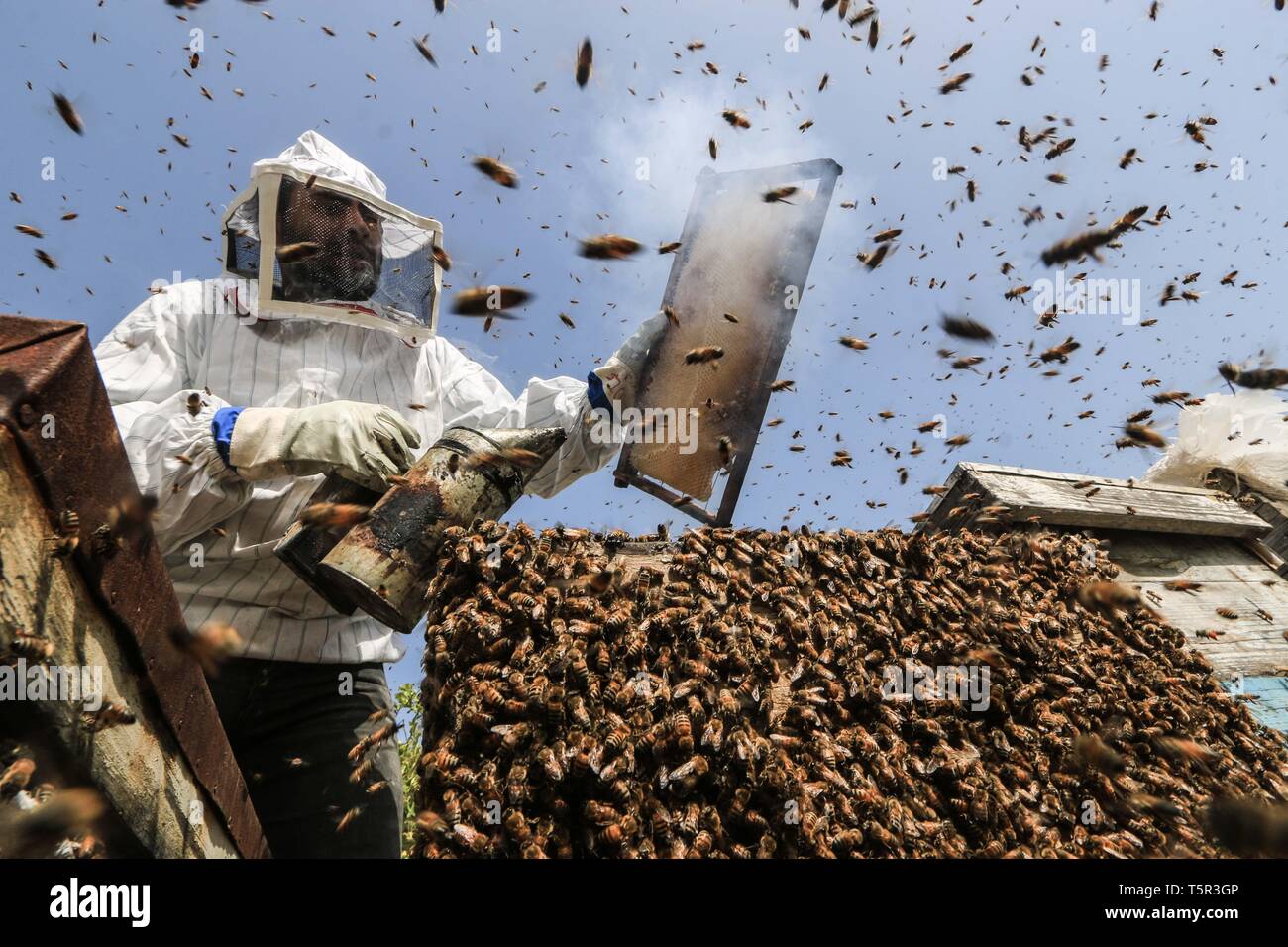 Central Of The Gaza Strip, The Gaza Strip, Palestine. 27th Apr, 2019. A ...