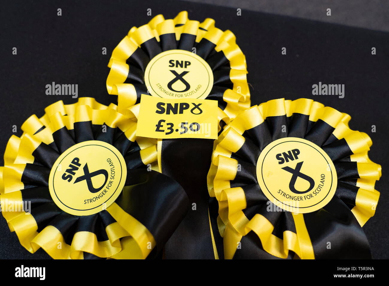 Political Rosettes High Resolution Stock Photography and Images - Alamy