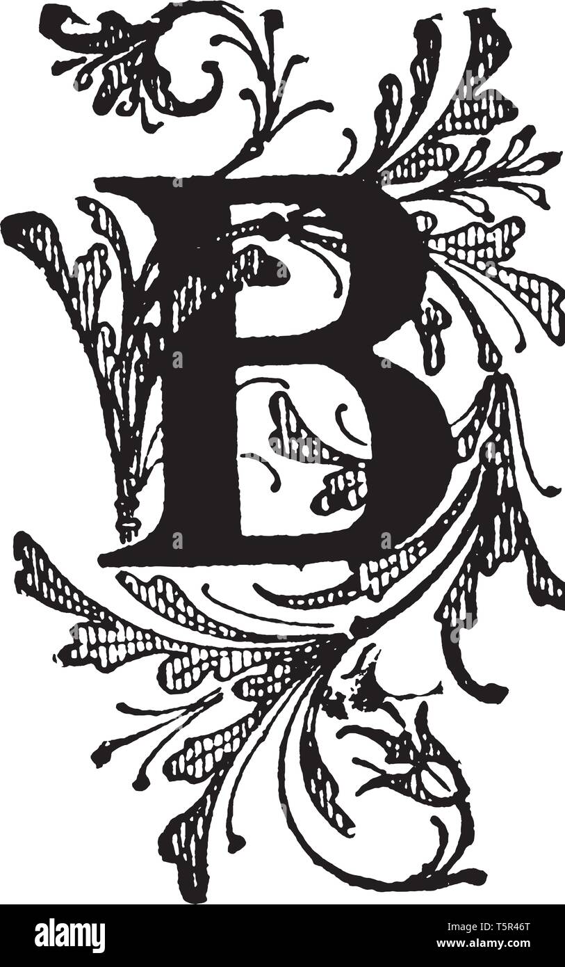 A floral capital letter B, vintage line drawing or engraving ...